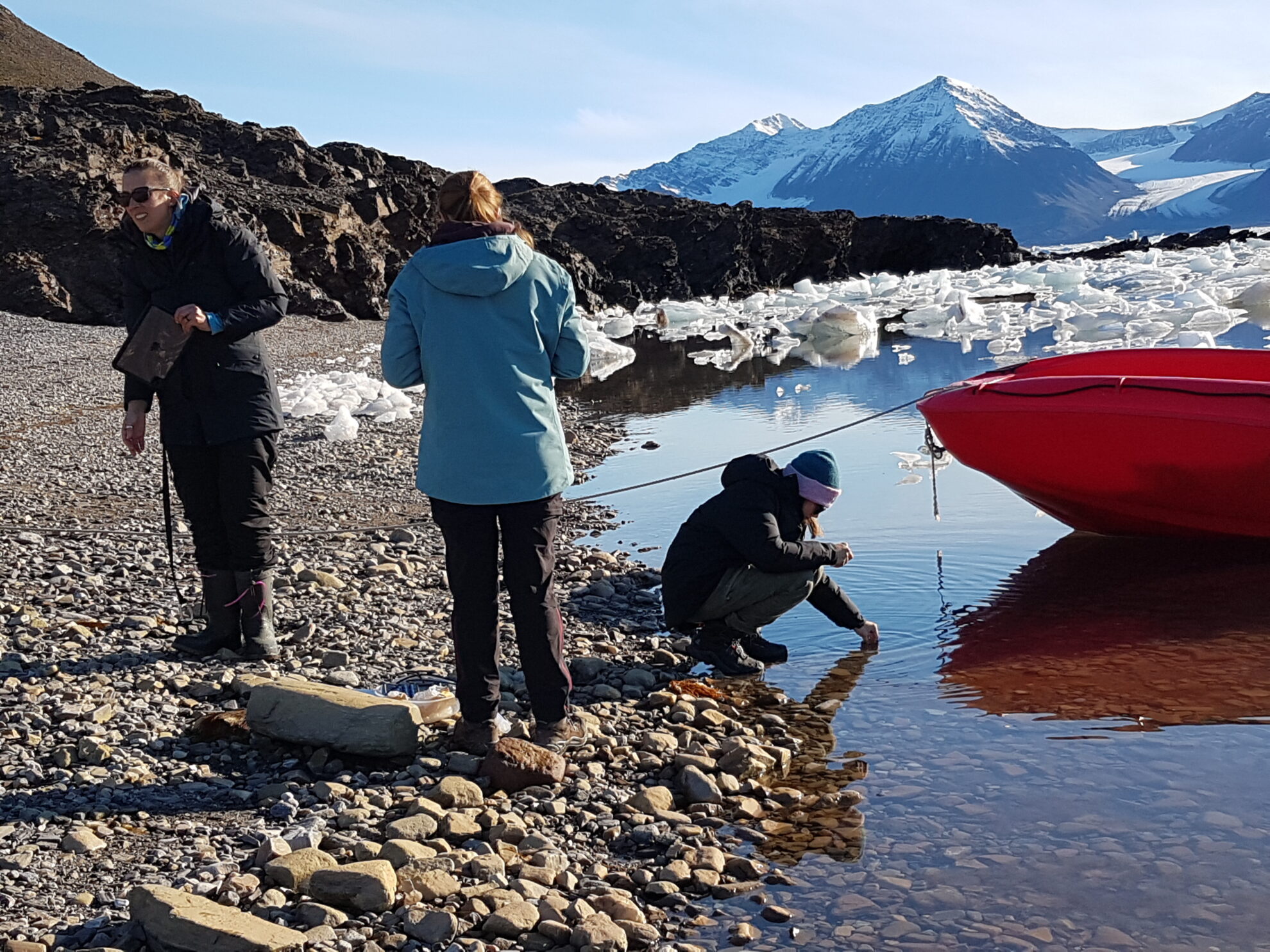 Ecological roles of fungal parasites on benthic diatoms in polar ...